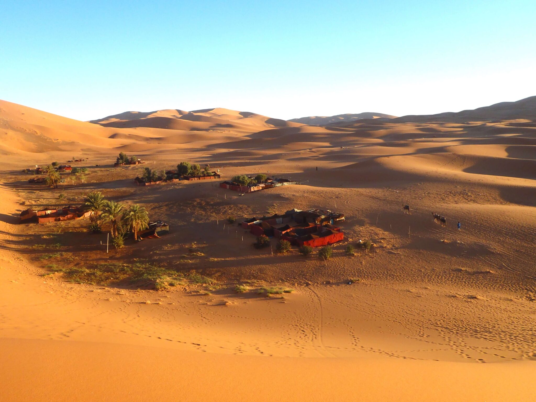 A Night In The Sahara Desert: Plan A Desert Trip In Morocco - Travel ...