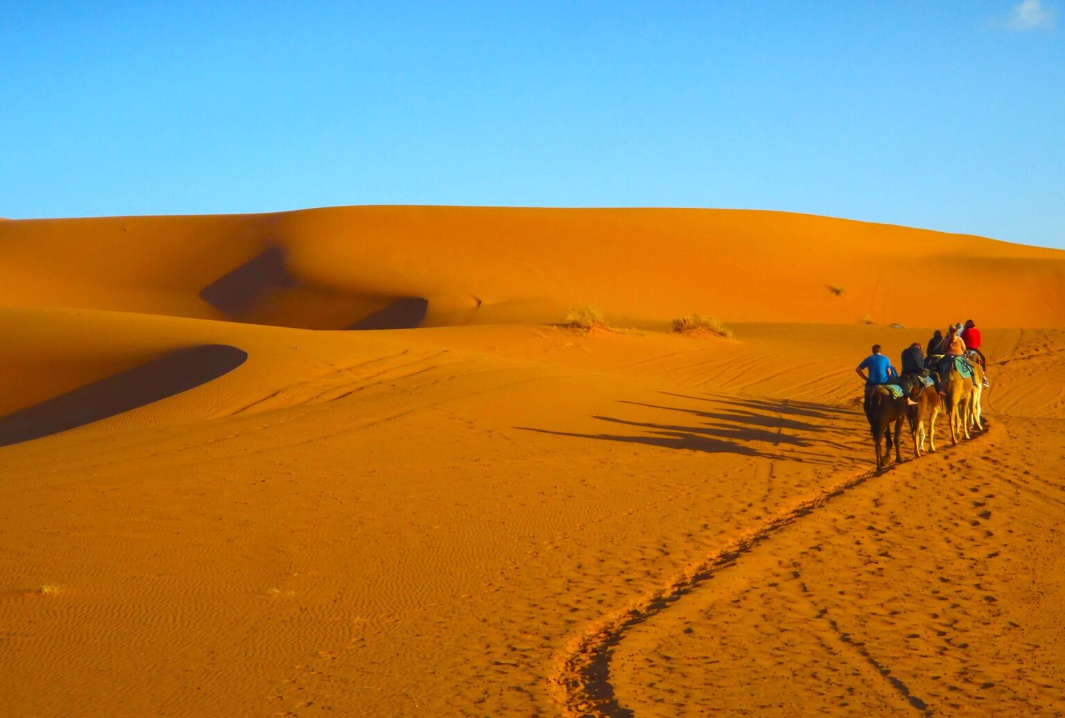 Luxury Sahara Desert Tour From Marrakech: 12 Best Options - Travel ...